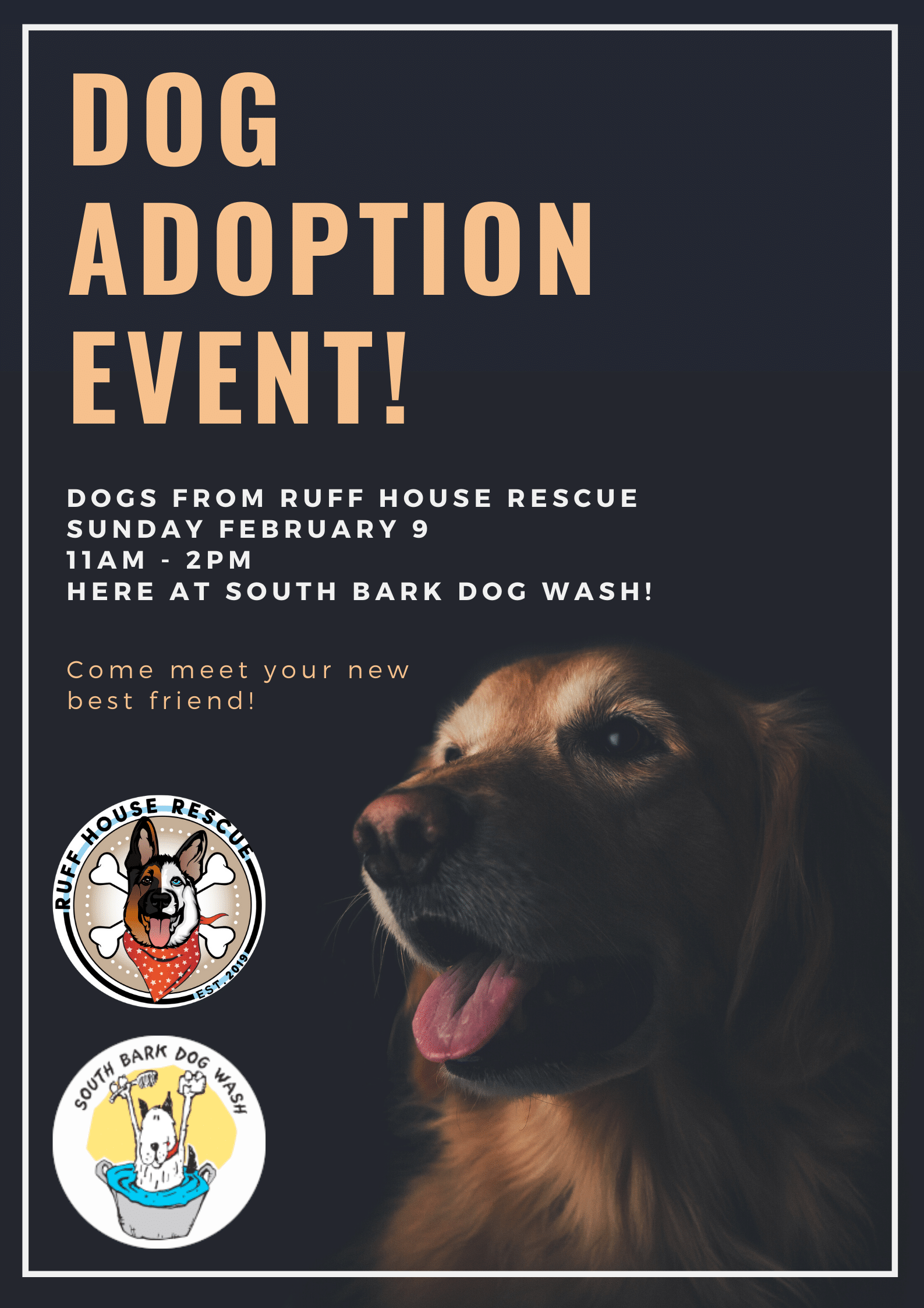 Ruff House Rescue Dog Adoption Event - South Bark Dog Wash